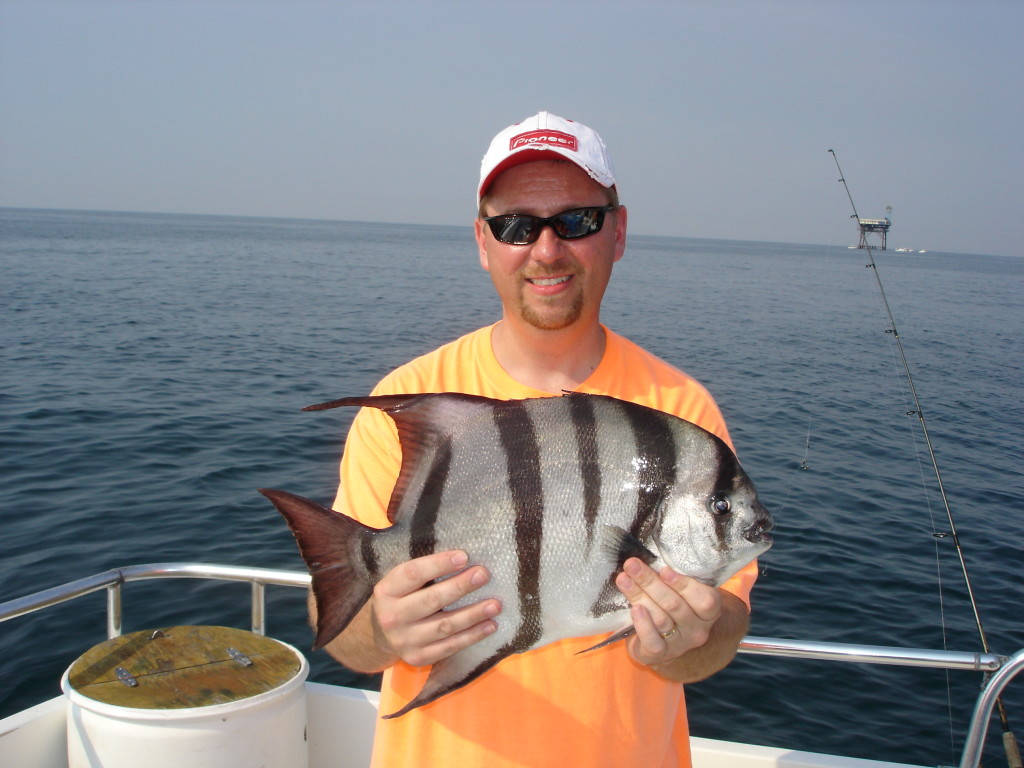Spadefish Bluefish Spanish Mackerels | Virginia Beach July 9 2013